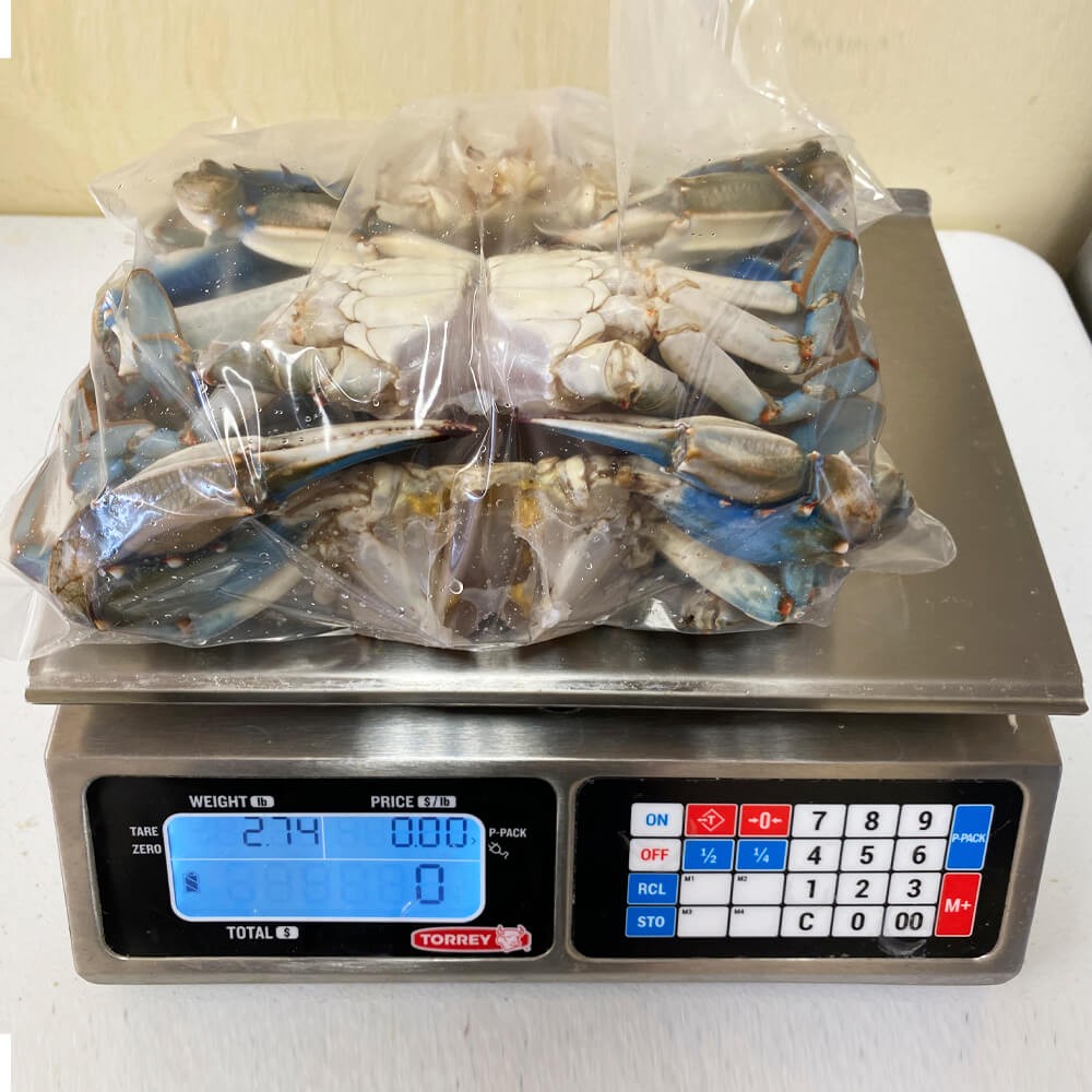 Paqute de 6 Jaibas azules limpias | The Shrimp Net Fish Fresh Seafood ...