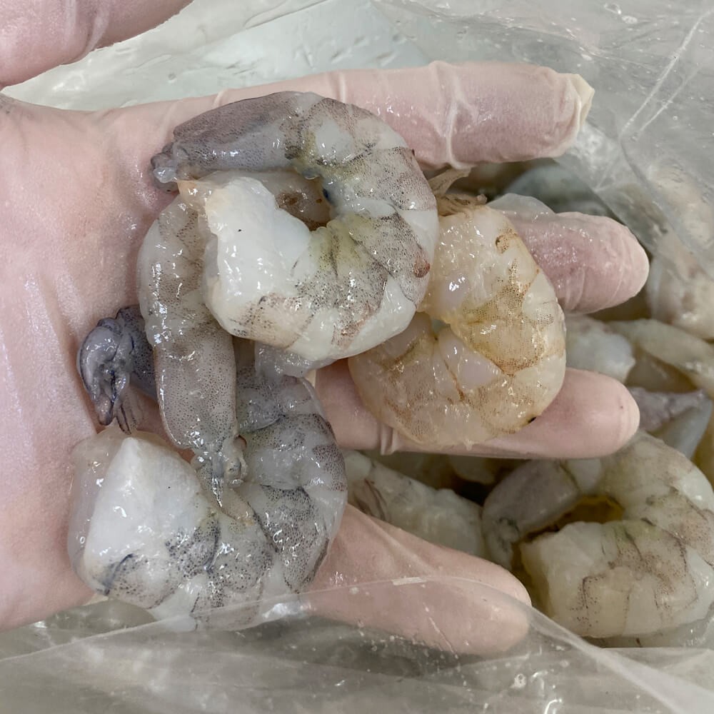 5 Lbs Pack Of Jumbo Size Gulf Shrimp Peeled And Deveined The Shrimp