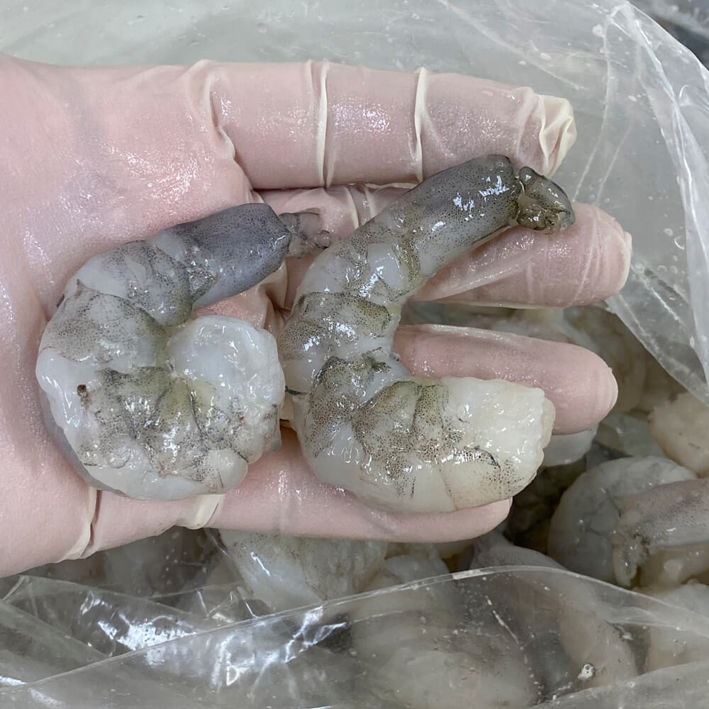 5 Lbs Pack Of Jumbo Size Gulf Shrimp Peeled And Deveined The Shrimp
