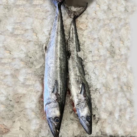 Fresh King Fish In Steaks Whole Fish | The Shrimp Net Fish Fresh ...